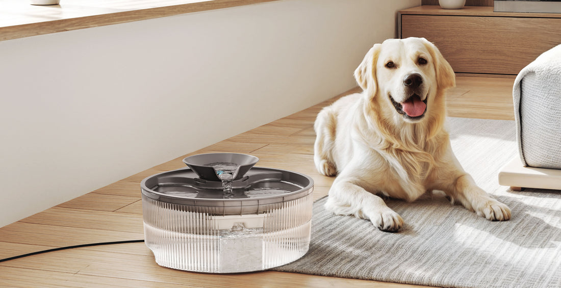 Neareal Pet Supplies