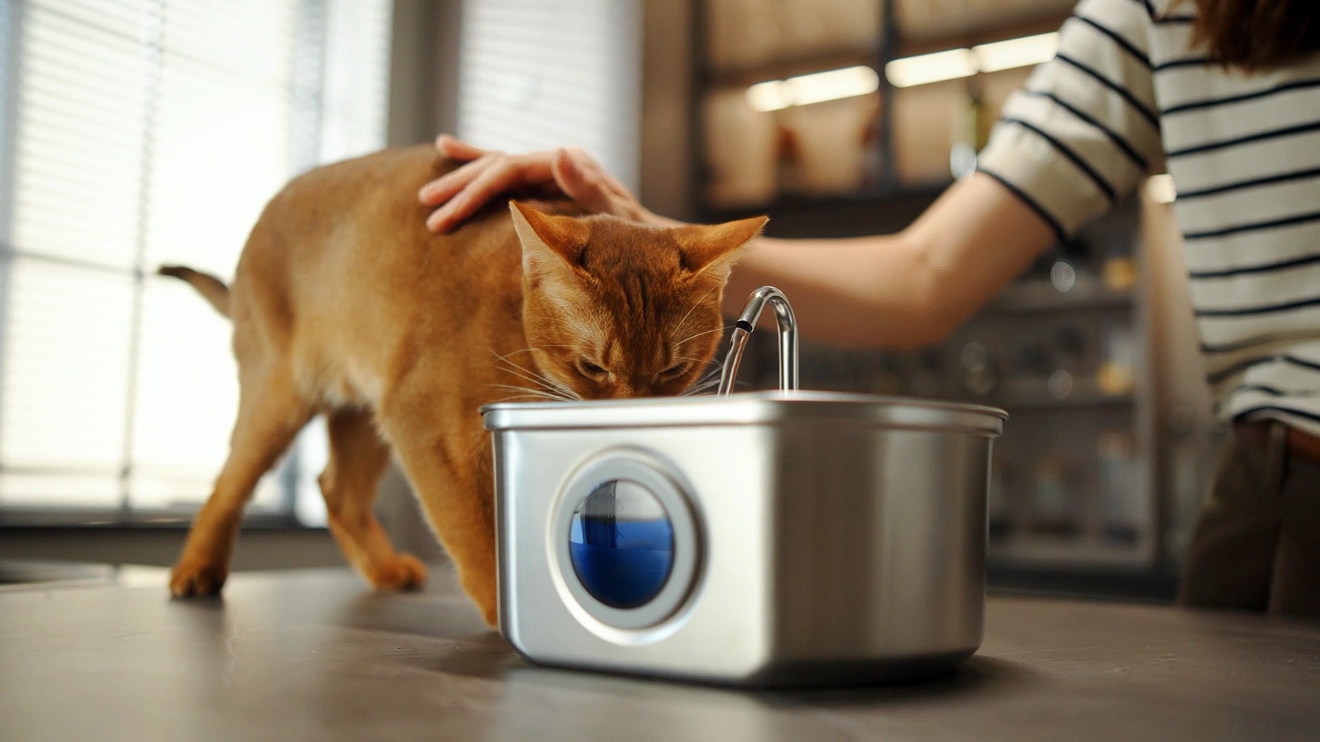 Neareal Pet Supplies